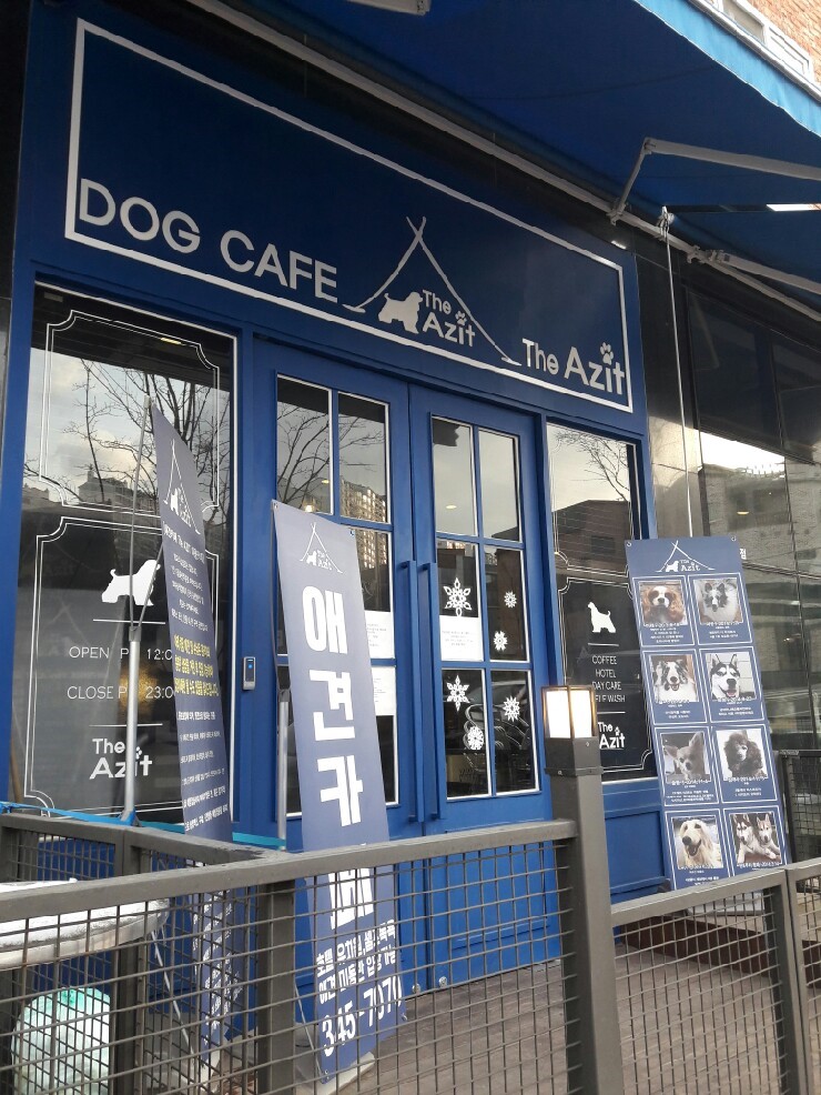 (부천범박동 애견카페) The Azit. : 네이버 블로그