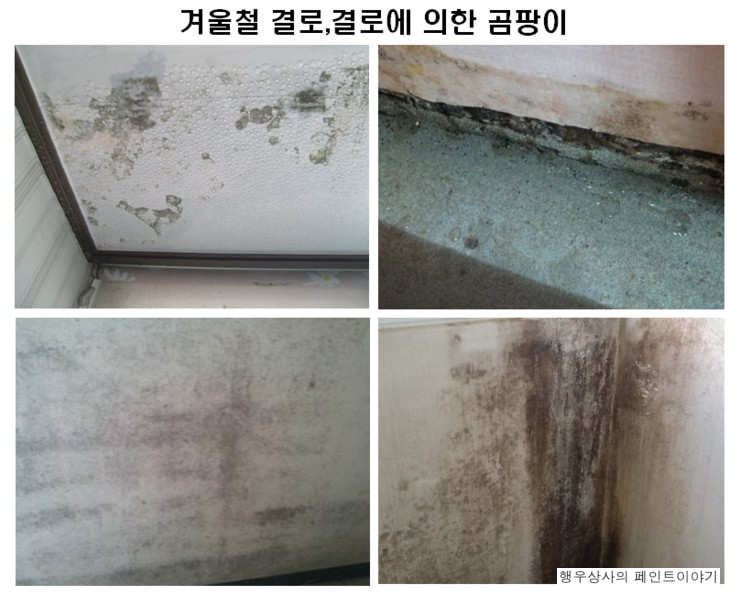 겨울철 결로에 의한 곰팡이제거 및 곰팡이예방법결로곰팡이방지페인트로 곰팡이방지결로방지하기 네이버 블로그