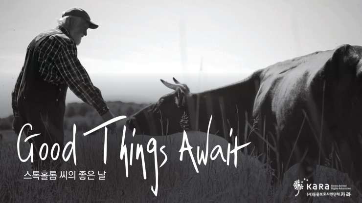 세번째 상영작 - 스톡홀름씨의 좋은 날 Good things await : 네이버 블로그