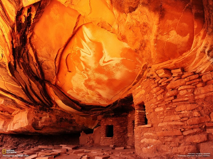 National Geographic Color - The Orange : 네이버 블로그