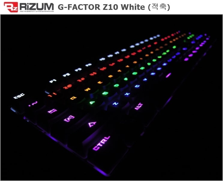 실물이 낫다 RIZUM G-FACTOR Z10 White (적축) : 네이버 블로그