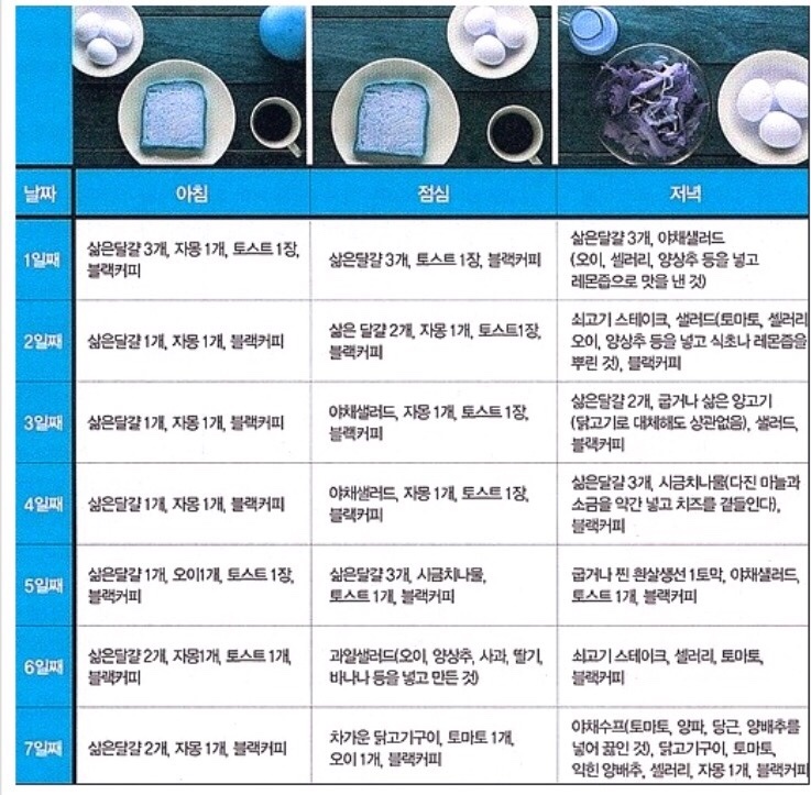 덴마크 다이어트 : 네이버 블로그