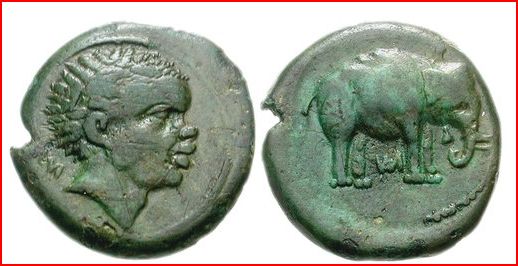 로마 동전 - Arretium, Head of African right, Indian elephant standing right ...