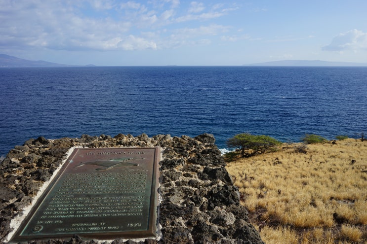 하와이 여행 마우이 여행 파파와이 포인트( Papawai Point ) - 고래를 만나는 곳 : 네이버 블로그