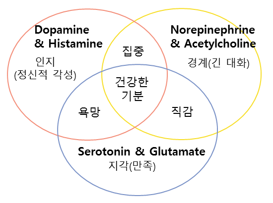 마음 노르에피네프린 도파민 세로토닌 네이버 블로그