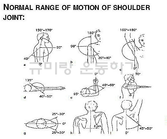 어깨 관절의 정상적인 가동범위normal Range Of Motion Of Shoulder Joint 네이버 블로그