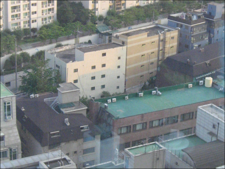 지난 여름을 추억하며~ : 네이버 블로그