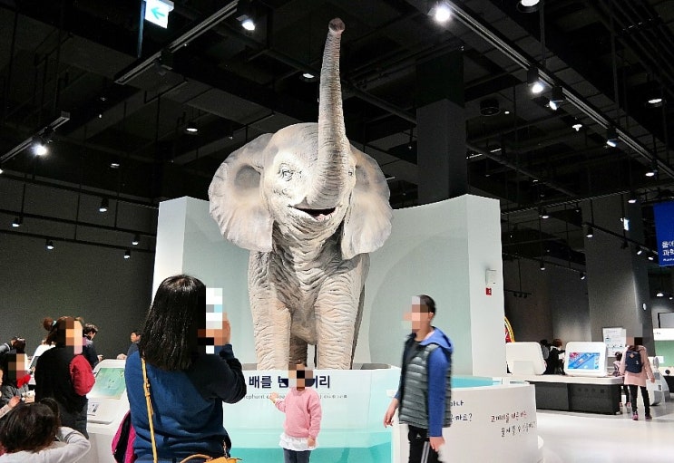 16년 3월 부산(Busan) 국립부산과학관(SciPort) ②전시관 (자동차,항공우주,선박,에너지,방사선의학) : 네이버 블로그