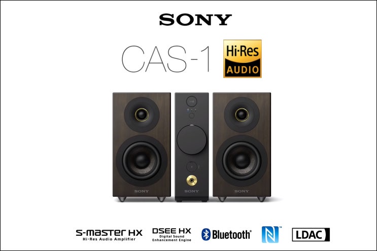 SONY CAS-1 : 네이버 블로그
