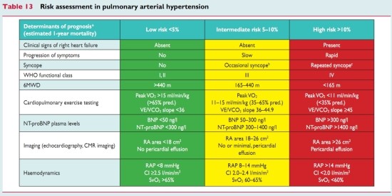 2015 ESC pulmonary arterial hypertension guidelines(PH group I) : 네이버 블로그
