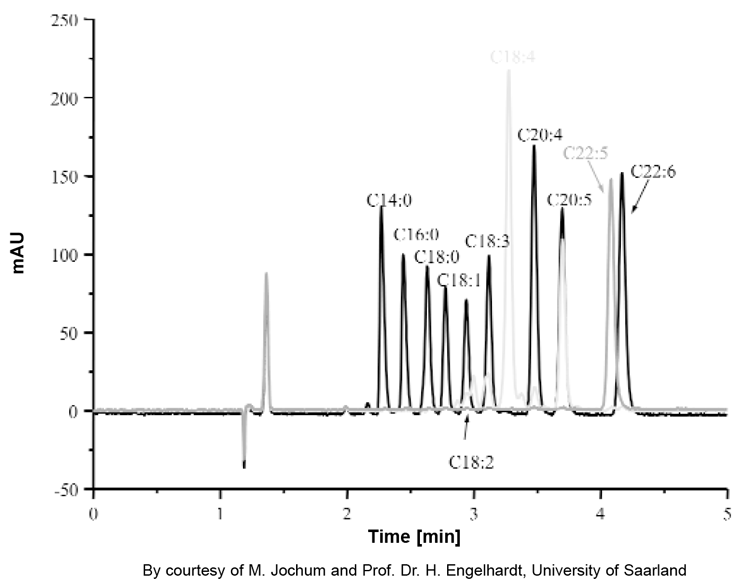 [VDS optilab] ProntoSIL 120-3-NH2 (SFC Separation of 11 fatty acid ...