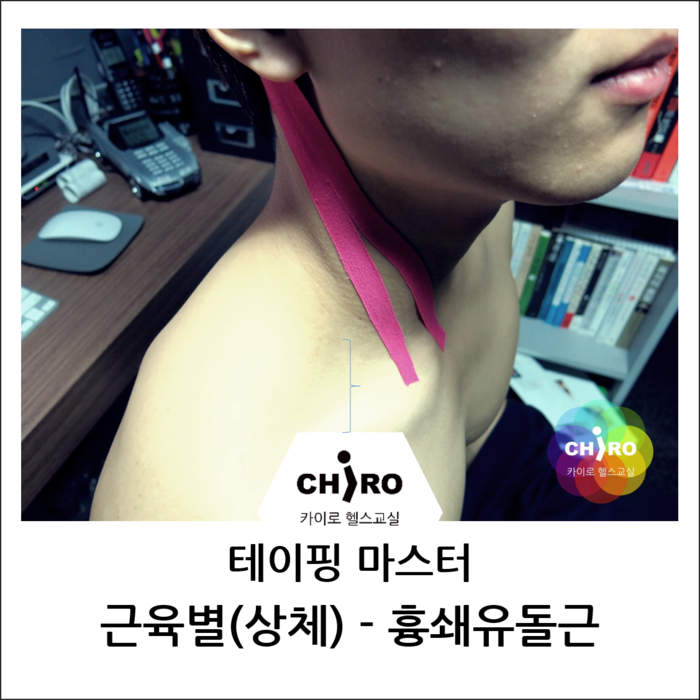 영등포 Pt 영등포 체형교정 카이로 헬스교실에서 알려주는 흉쇄유돌근 테이핑스포츠 테이핑 효과 네이버 블로그