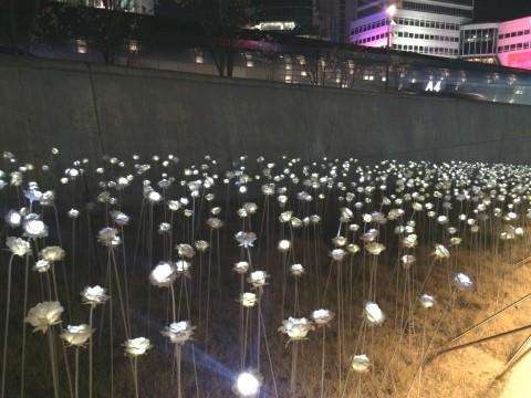 동대문DDP LED장미꽃 : 네이버 블로그