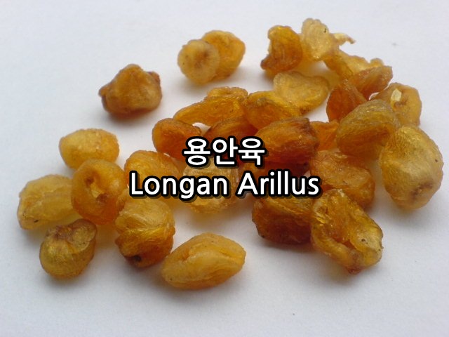 용안육(Longan Arillus) : 네이버 블로그