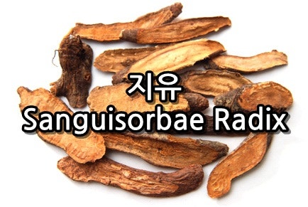 지유(Sanguisorbae Radix) : 네이버 블로그