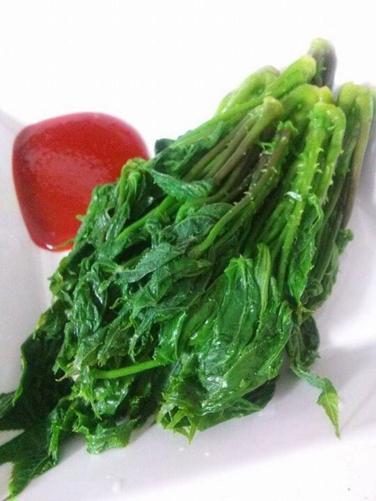 엄나무순장아찌 만들기 엄나무순개두릅 효능 엄나무순파는곳 네이버 블로그