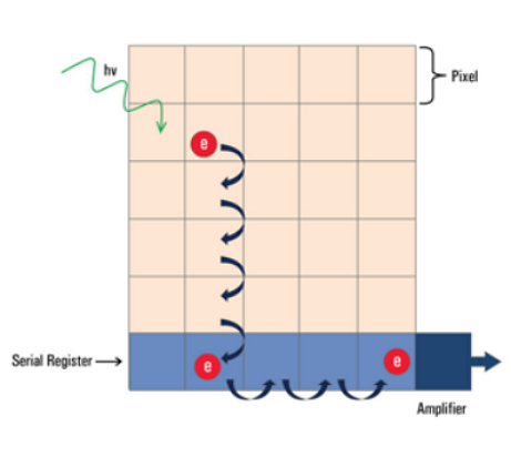Definitions of Basic Technical Terms for Digital Microscope Cameras and ...