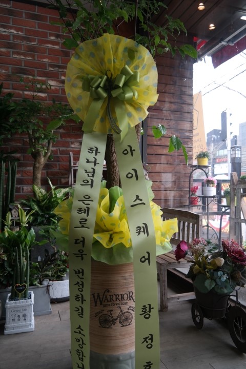 대구개업화분 대구키큰화분대구고급화분대구서구비산동꽃집원대동내당동이현동중리동평리동상리동상중이동꽃집대구꽃배달