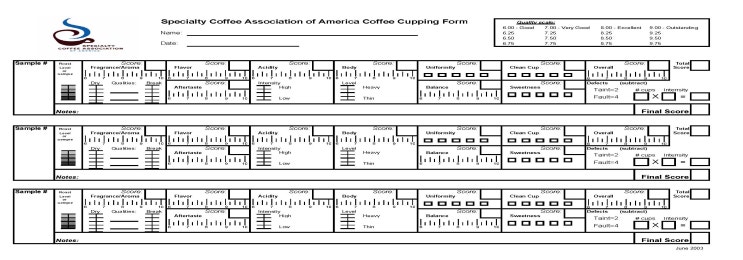 특별한 커피교육 SCAA - Cupping Form (미국 스페셜티 커피협회 - 커핑 양식) : 네이버 블로그