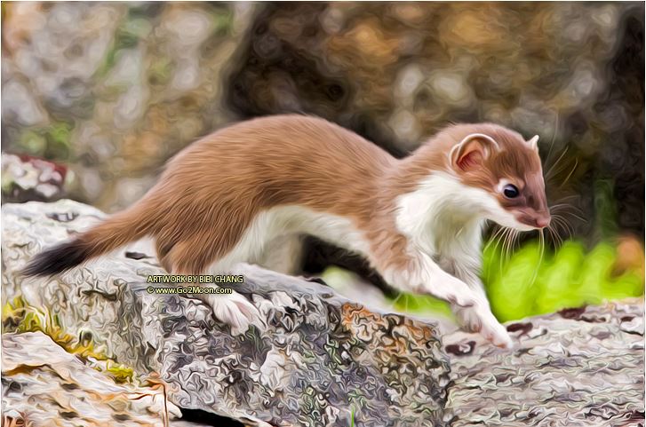 weasel out of (~를 회피하다) : 네이버 블로그