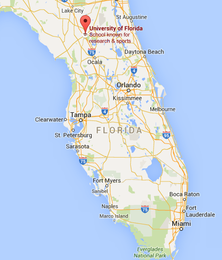 (FL) University of Florida (플로리다 대학교) : 네이버 블로그