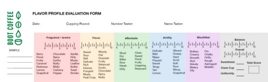 Boot Coffee - Flavor profile Evaluation Form : 네이버 블로그