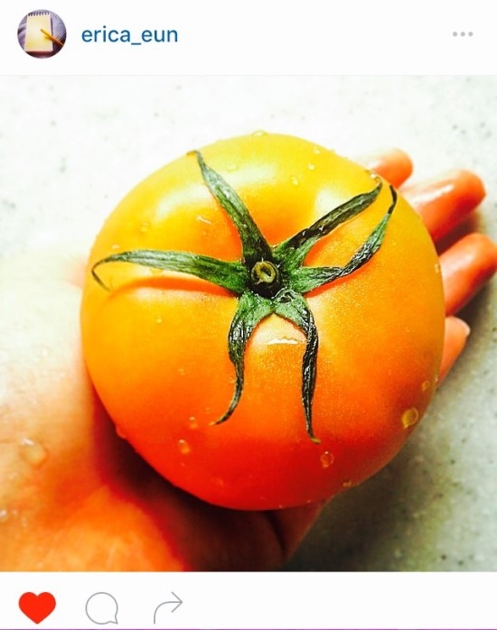 토마토 : 네이버 블로그