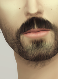 S4 _Beard N3 : 네이버 블로그