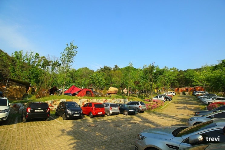 울산캠핑장 입화산 참살이숲 캠핑장 입화산오토캠핑장 네이버 블로그