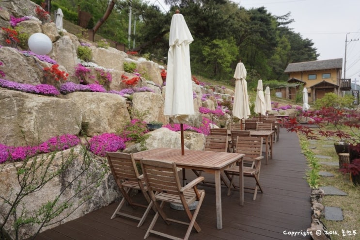 제천카페, 소나무정원 : 네이버 블로그