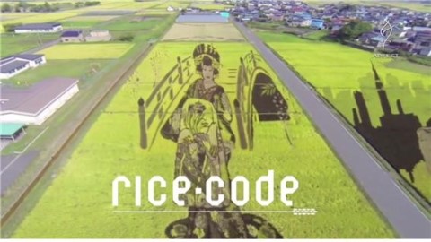 칸 국제광고제 Outdoor부문 Gold 수상_자연을 활용한 QR코드_Rice Code : 네이버 블로그