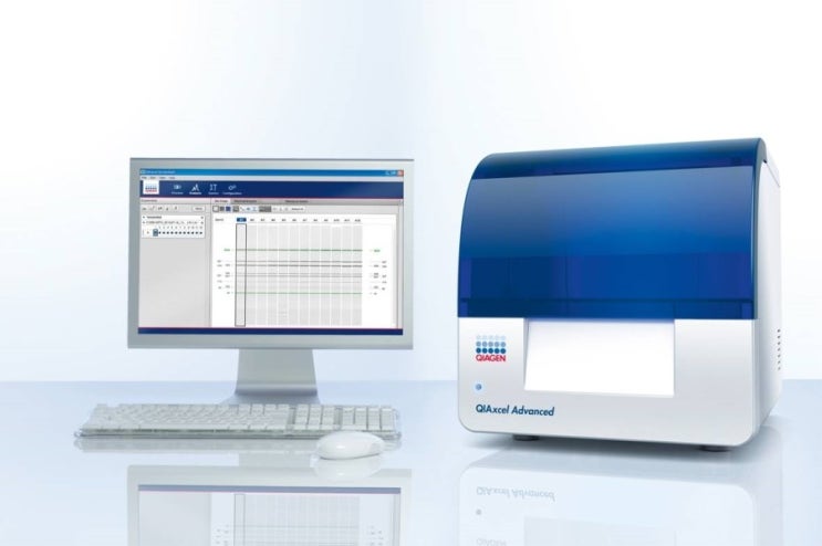 QIAGEN_QIAxcel 자동전기영동장치 : 네이버 블로그