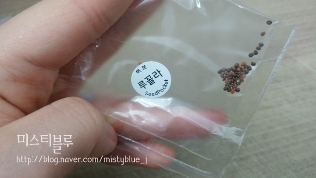 허브키우기 견과류 향이나는 루꼴라 키우기 루꼴라 잘 키우는 방법 루꼴라 재배해 먹기 By 미스티블루플라워 네이버 블로그