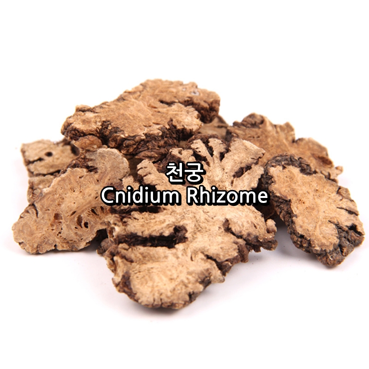 천궁(Cnidium Rhizome) : 네이버 블로그