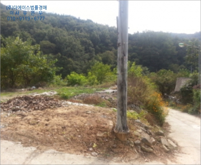 경북 고령군토지전경매 2015타경7012 고령군 토지전경매♠♠경북 고령군 운수면 팔산리 특수물건경매 더에이스