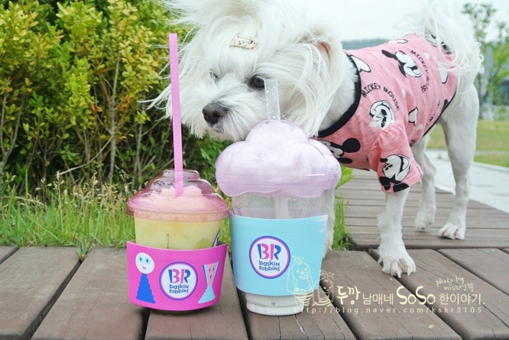 배스킨라빈스 이상한나라의 솜사탕 블라스트 : 네이버 블로그