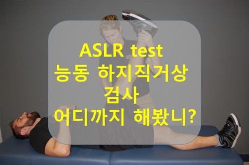 ASLR test(Active Straight Leg Raise test: 능동 하지직거상 검사)로 요추 불안정성을 진단하자 ...