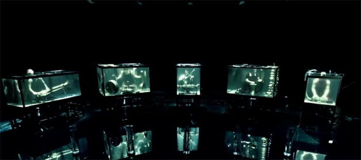 world's first underwater band performs in giant aquariums : 네이버 블로그