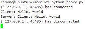 python tcp proxy server : 네이버 블로그