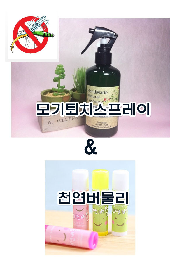 모기퇴치스프레이 And 천연 벌레물리 만들기 반짝 특강 네이버 블로그