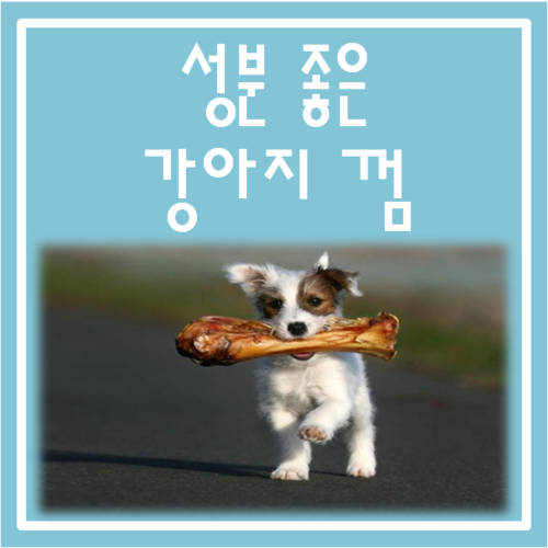 믿고 먹일 수 있는 성분 좋은 강아지껌 알고 먹이세요 네이버 블로그
