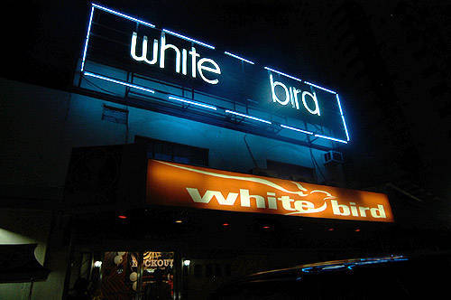 [ 여성용 밤문화 ] 마닐라 로컬 호스트바 White Bird : 네이버 블로그