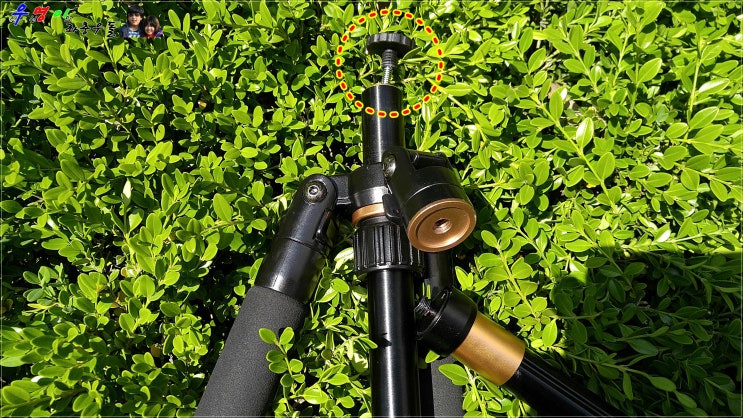 2in1 삼각대 CQ556 국민삼각대가 바뀐다. 단단하고 가성비 좋은 모노포드로 변신하는 DSLR삼각대 강력추천 : 네이버 블로그