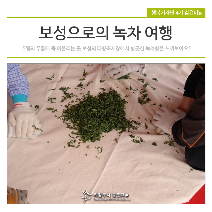 보성가볼만한곳 보성 녹차밭에서 힐링하셔요~ 네이버 블로그