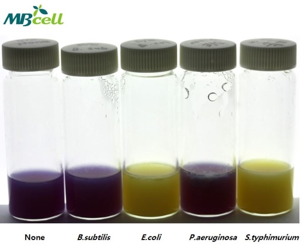 D/E Neutralizing Broth MB-D0862 : 네이버 블로그
