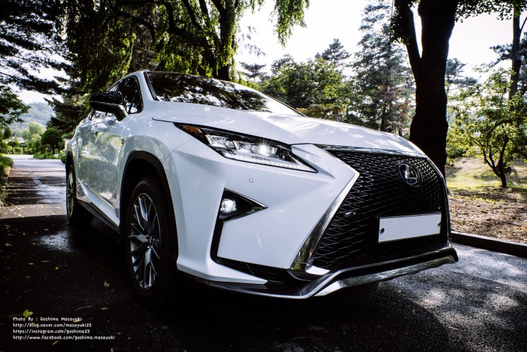 효율성과 출력 두마리를 잡은 도심형 SUV의 최고봉. LEXUS 450h F-Sport ~! : 네이버 블로그