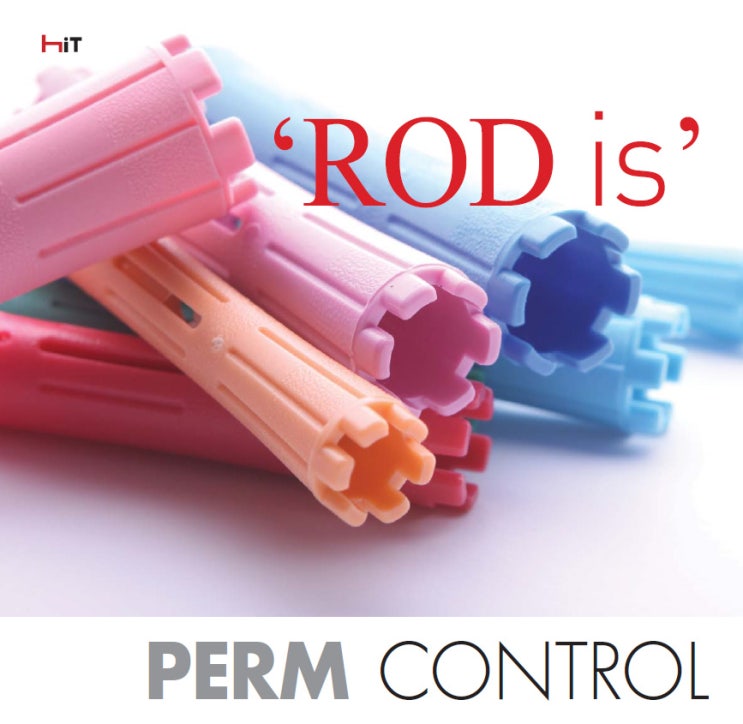 장미애 교수님의 PERM CONTROL : 네이버 블로그