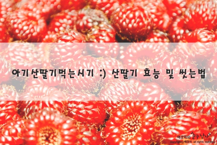 제철과일 아기 산딸기 먹는시기 효능 씻는법 및 보관 네이버 블로그