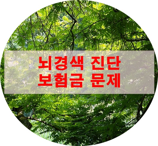 뇌경색 진단 보험금 I63.9코드 분류 지급거절? : 네이버 블로그