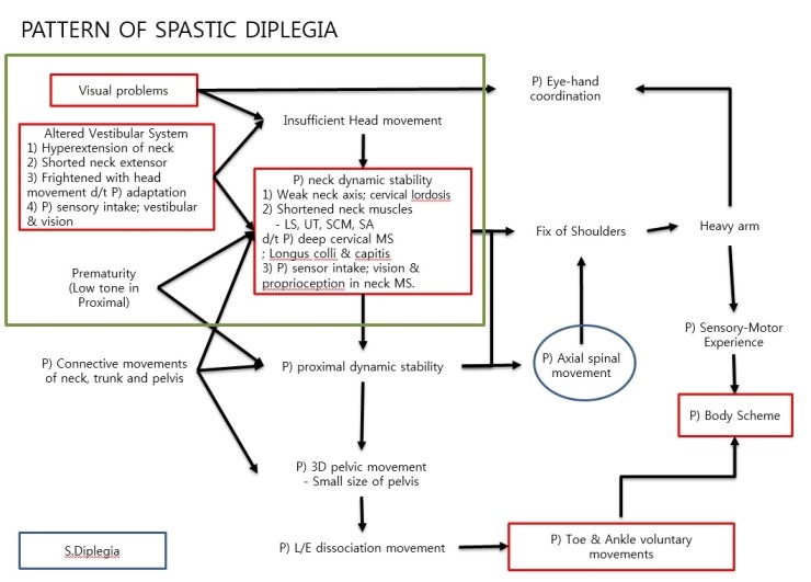 Assessment & Treatment: Spastic Diplegia 1/ : 네이버 블로그
